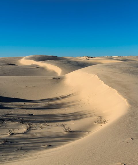 Secrets of the Sands
