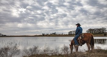 A Cornucopia of Country Charm and Wildflowers in Washington County