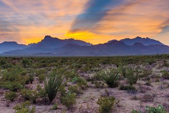 9 Natural Wonders to Make You Fall in Love with Texas