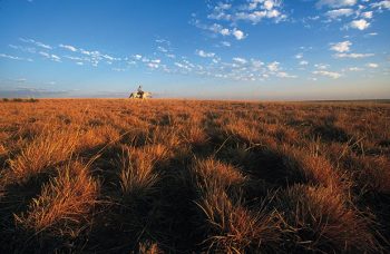 Find Out Why This Region in Texas is Called the Big Empty