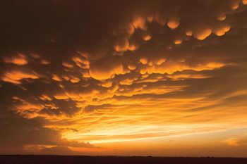 Find Out Why This Region in Texas is Called the Big Empty