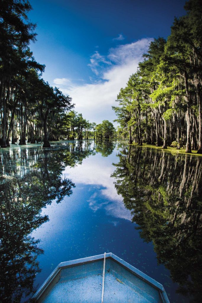 A Canoe Exploration of Caddo Lake’s Creatures and History