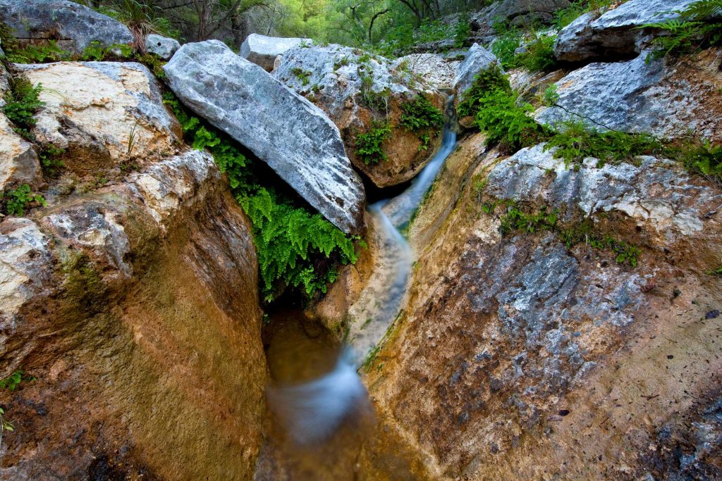 These 10 Texas Nature Conservancy Preserves Offer Public Access—and ...