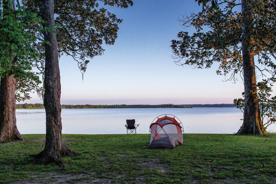 Our Favorite Photos From 2018