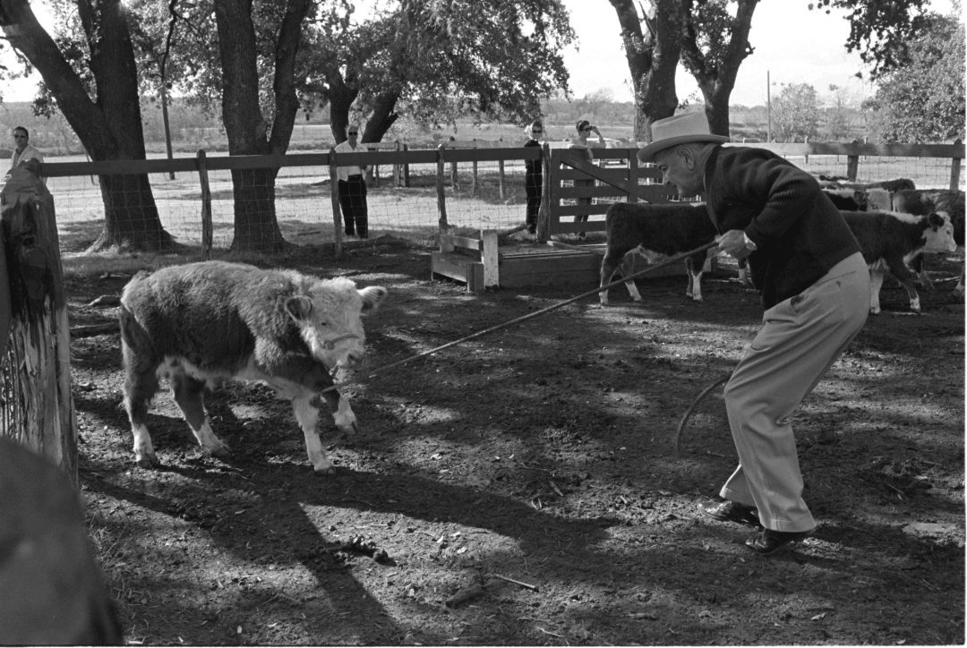 Jan. 20 Marks 50 Years Since LBJ’s Return to Texas