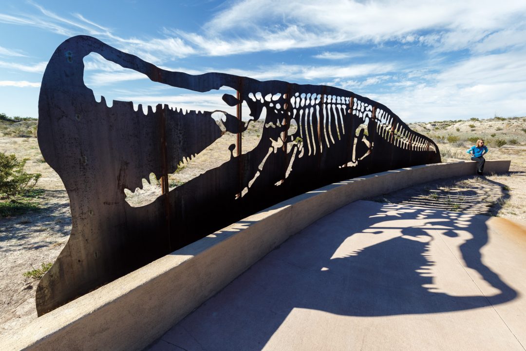 Fossils Tell a Story of Vanished Worlds in Big Bend National Park
