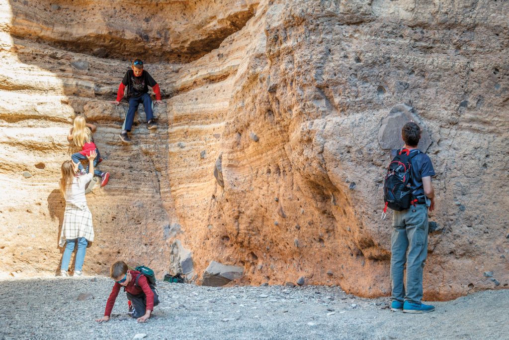 Ditch the Survival Skills With These 3 Easy Ways to Explore Big Bend ...