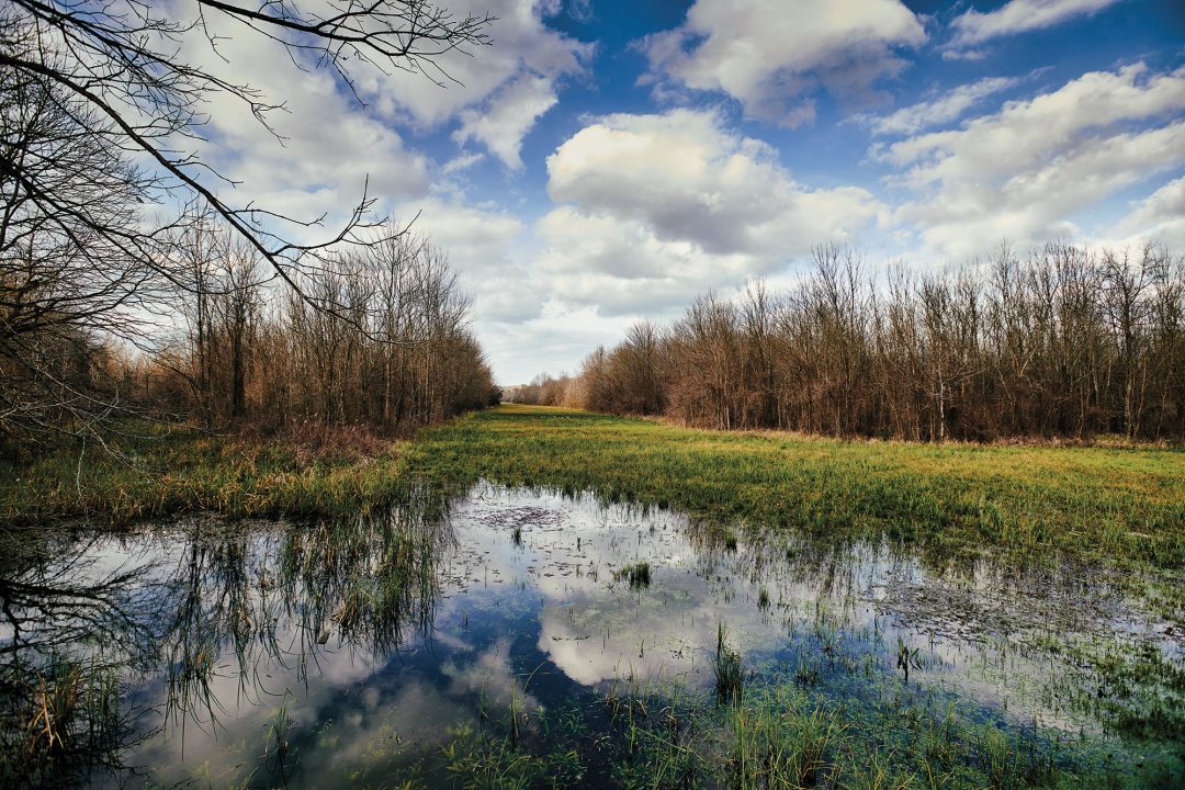 Hike, Fish, and Play—but Watch Out for Bigfoot—at the Mineola Nature Preserve