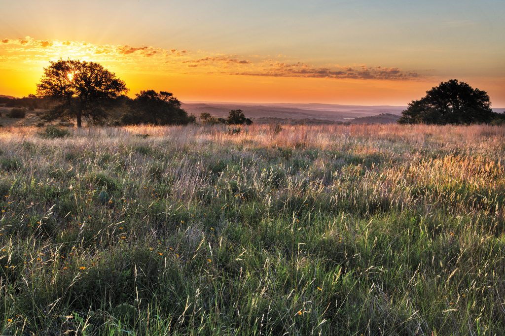 One Man’s Half-Century Project to Heal a Hill Country Landscape Created ...