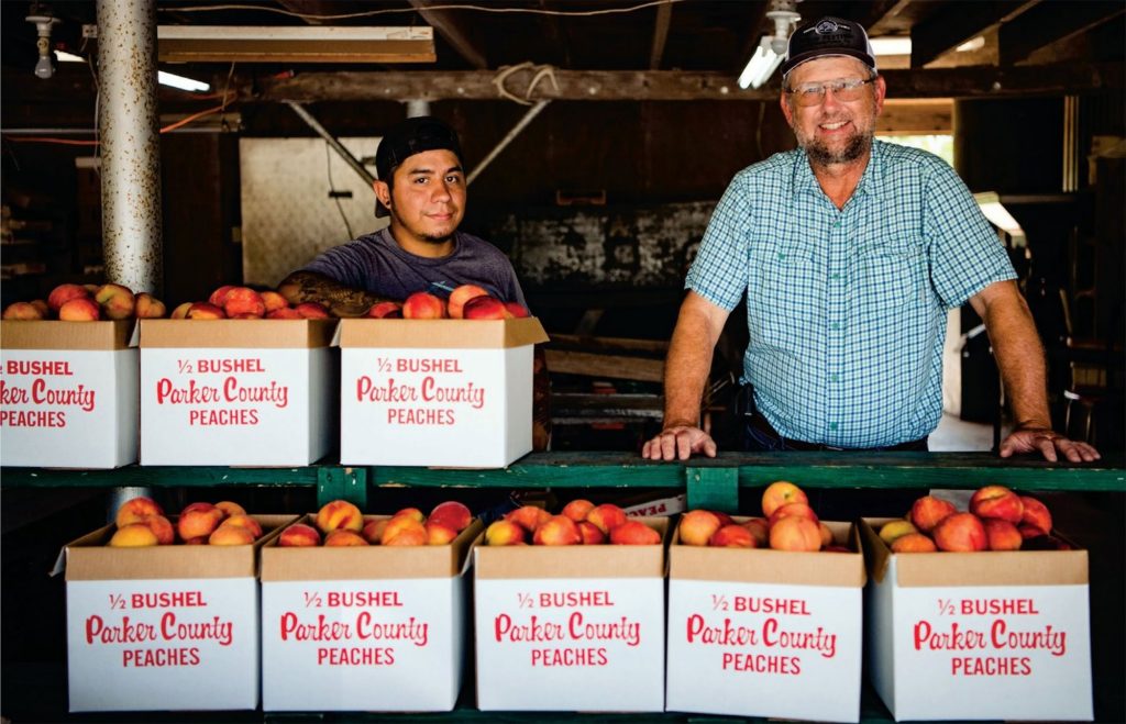 How to Make the Most of Texas Peach Season