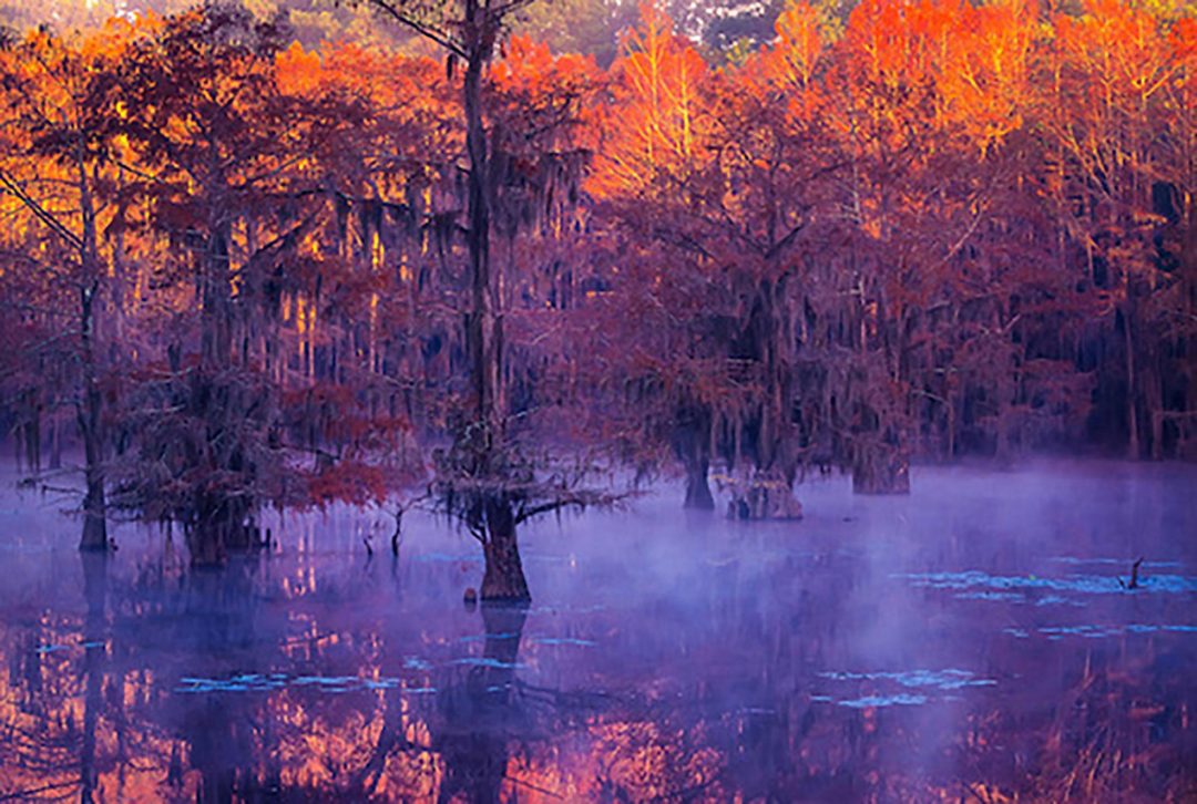 4 Must-See Fall Foliage Spots in Texas