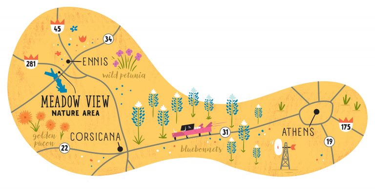 12 Scenic Wildflower Drives for the Perfect Spring Road Trip