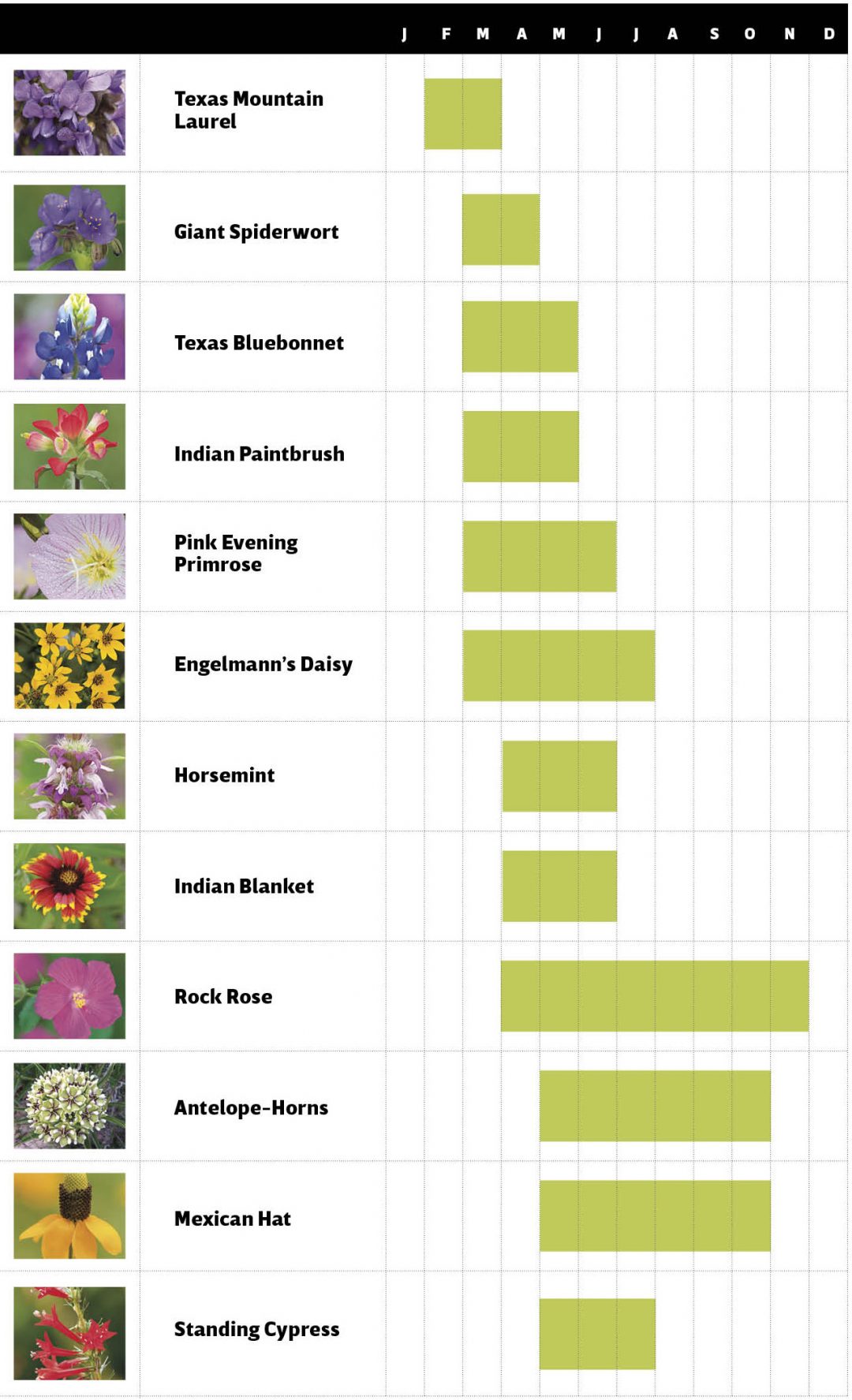 From the March 2020 issue