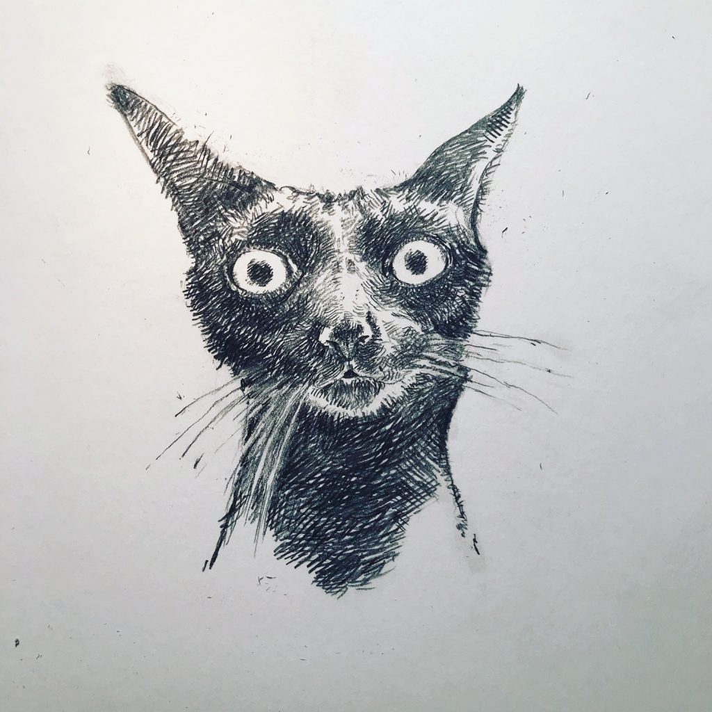 Author and Illustrator Edward Carey Shares the Story Behind His ...