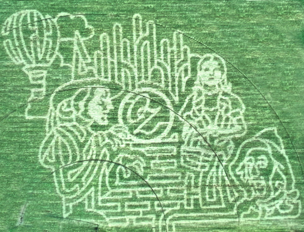 From Field of Dreams to Spooky Fall Events, Corn Mazes Are Cropping Up ...