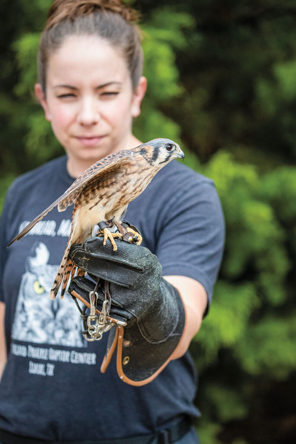 The Blackland Prairie Raptor Center Helps Birds of Prey Find Their Way