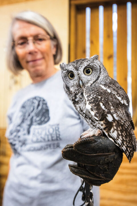 The Blackland Prairie Raptor Center Helps Birds of Prey Find Their Way