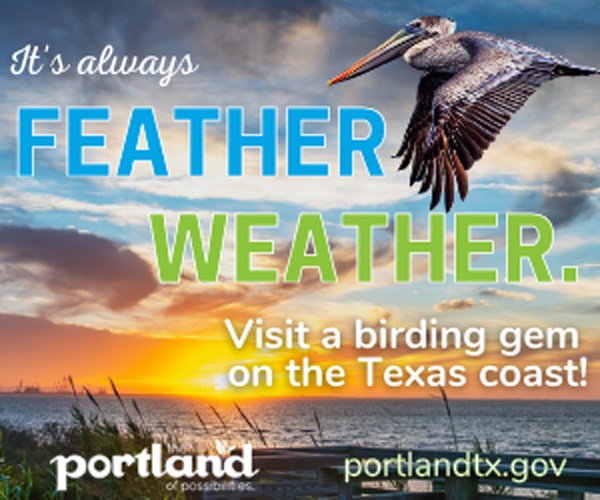 Chet Garner’s 10 Favorite Daytripper Destinations - Texas Highways