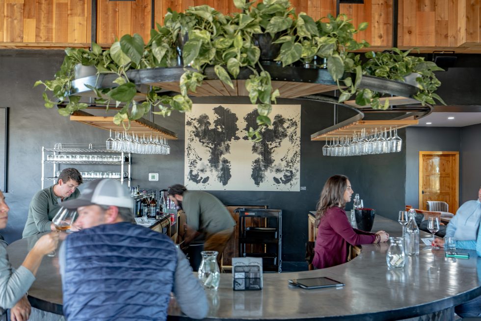 Ripe from the Vine: Slate Theory Winery Shakes Up the Texas Wine Scene