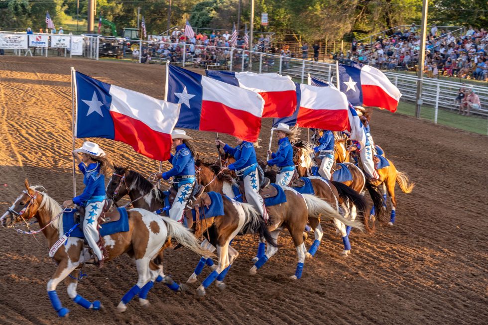10 Facts About the Texas State Flag