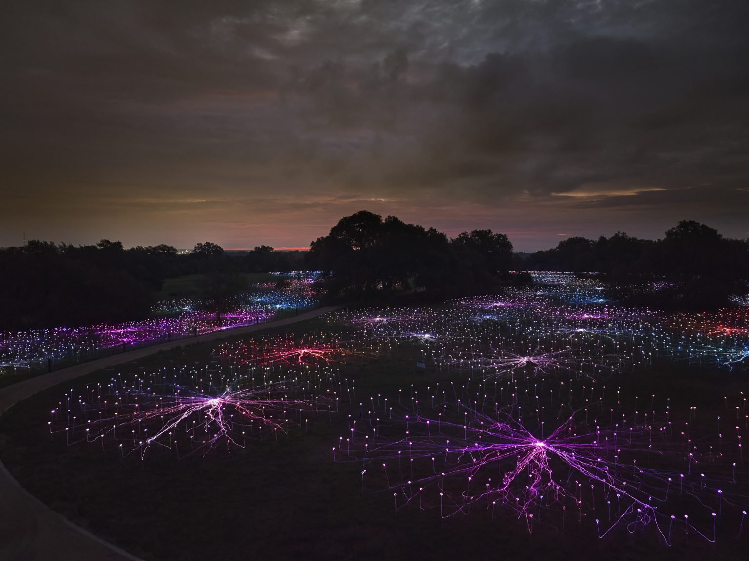 'Field of Light' Shines Bright at Lady Bird Johnson Wildflower Center