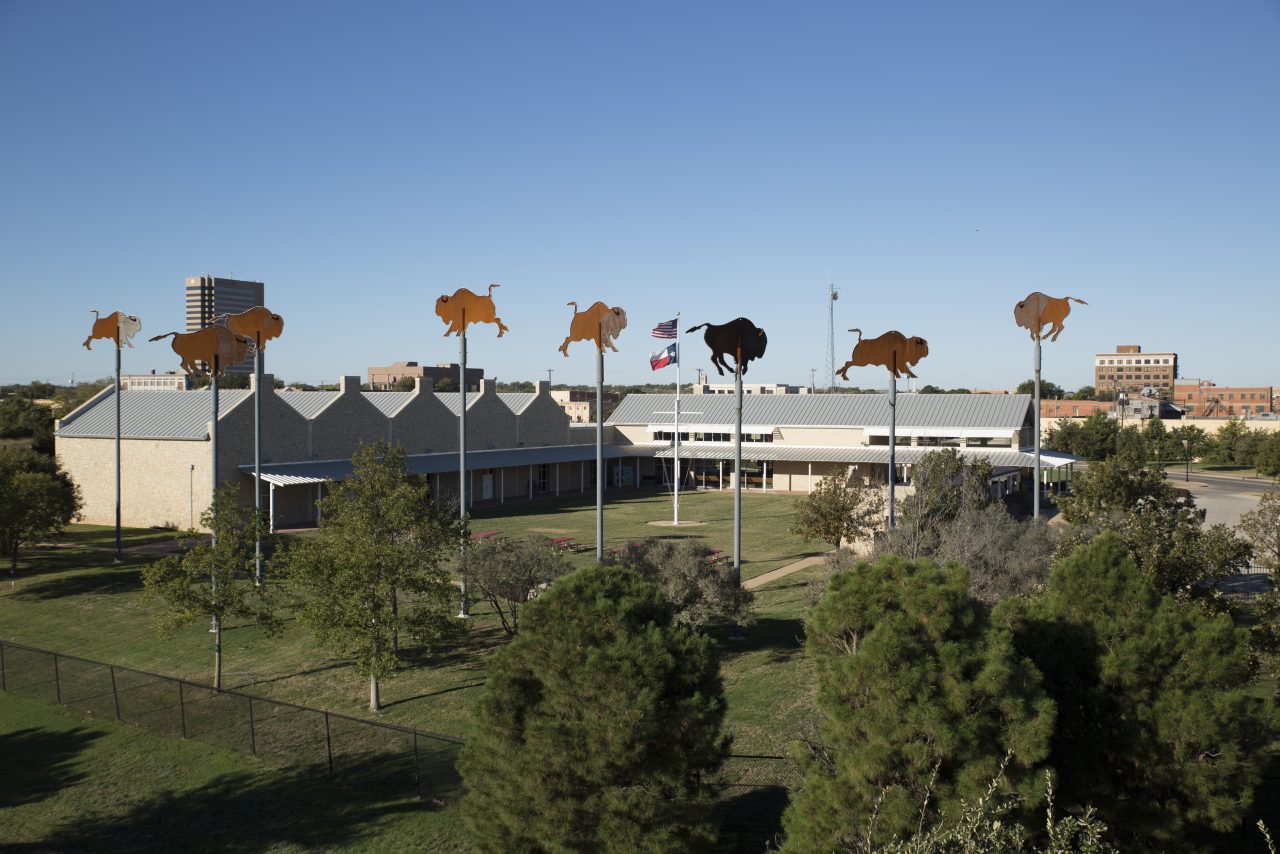 Roadside Oddity: Flying Herd of Buffalo in Abilene