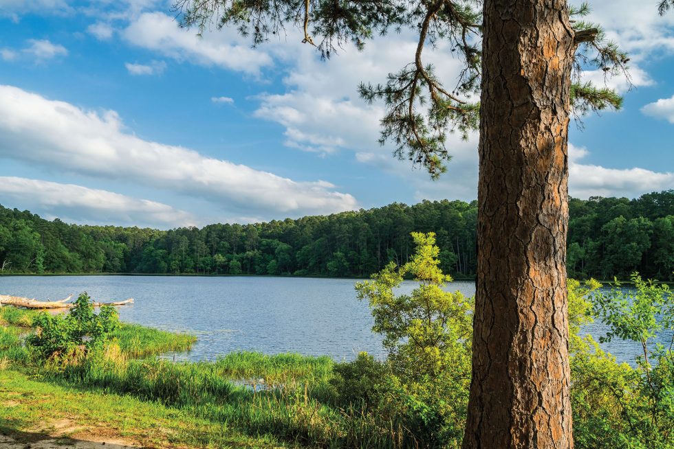 An Adventurer’s Guide to Texas State Parks