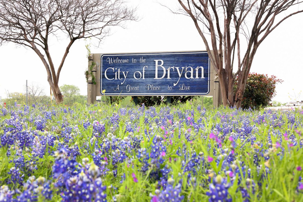 A Springtime Drive Through Flowering Fields in Central Texas