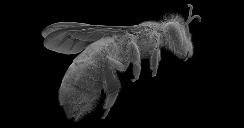 Santa Claus Tells All - Texas Highways