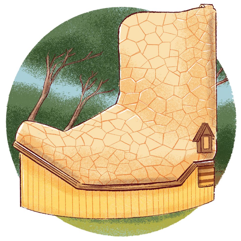 Roadside Oddities: Texas’ Weird and Wild Attractions