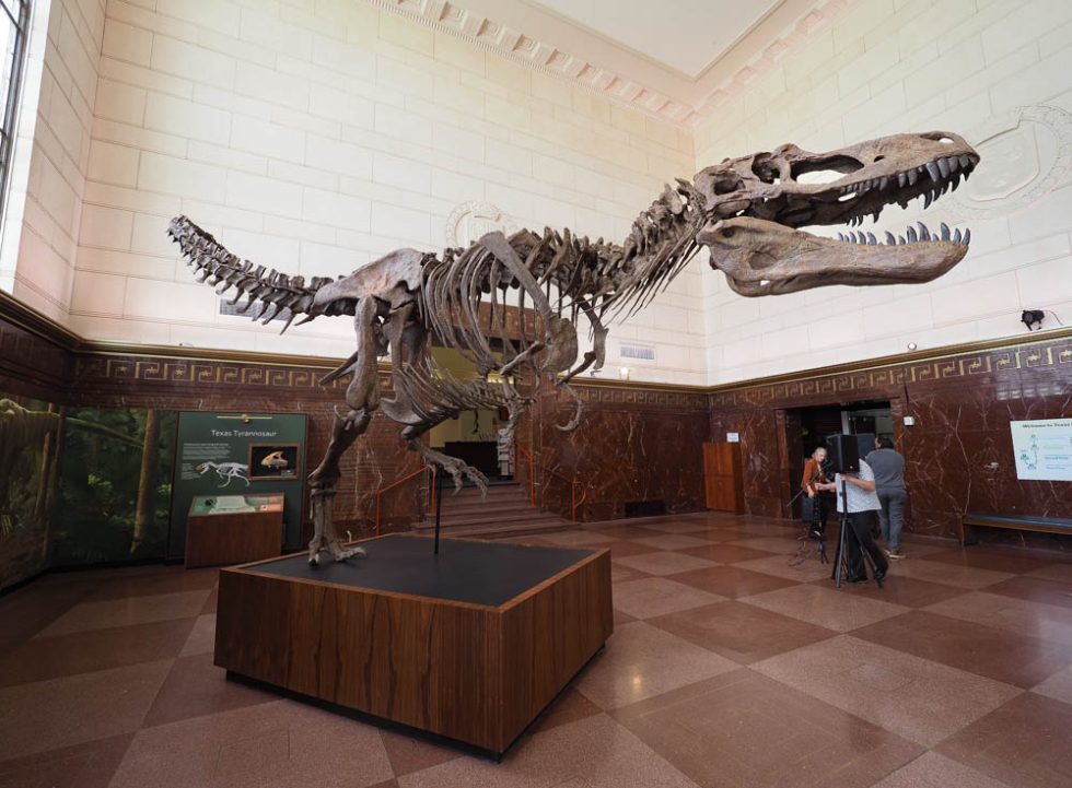 What's Old Is New Again at the Texas Science & Natural History Museum ...