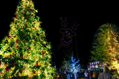 10 Must-See Holiday Light Displays in Texas