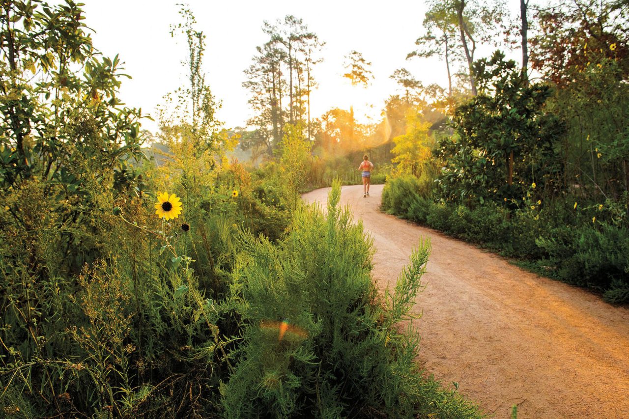 Hiking Through Houston's Wild Frontier