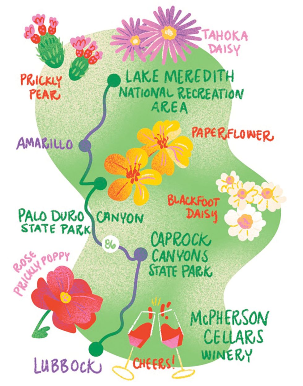 Your Guide to Maximizing Texas Wildflower Season