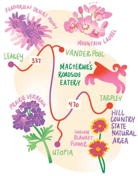 Your Guide to Maximizing Texas Wildflower Season
