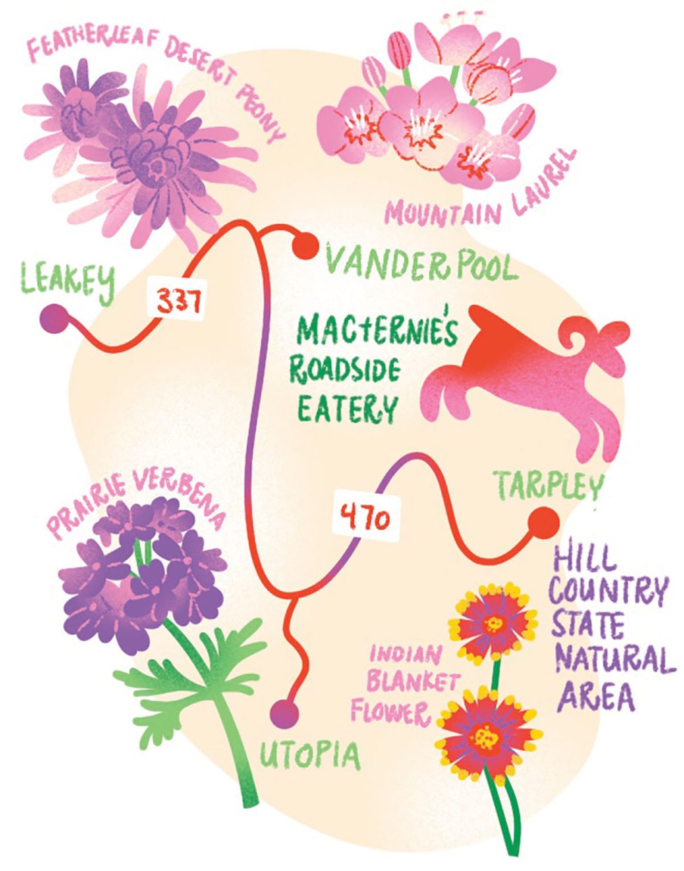 Your Guide to Maximizing Texas Wildflower Season
