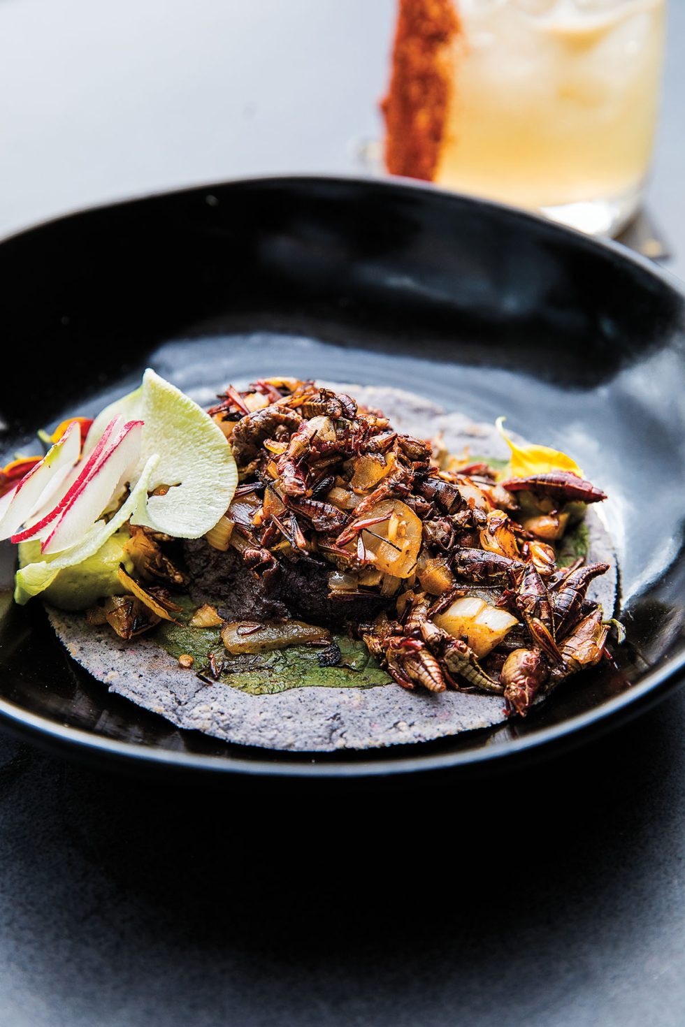 Insects, Bugs Are on the Menu at These Texas Restaurant