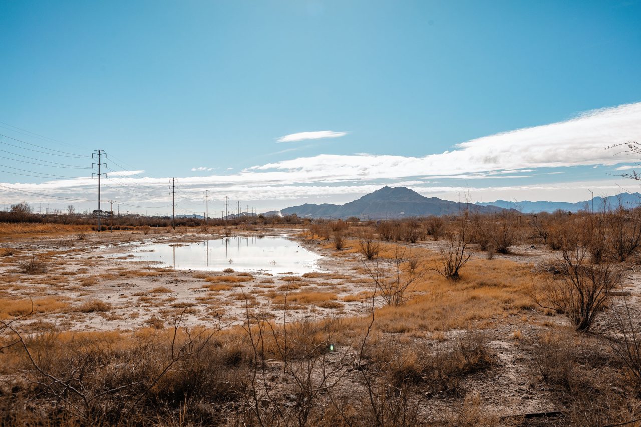 One Man’s Quest to Transform the West Texas Desert