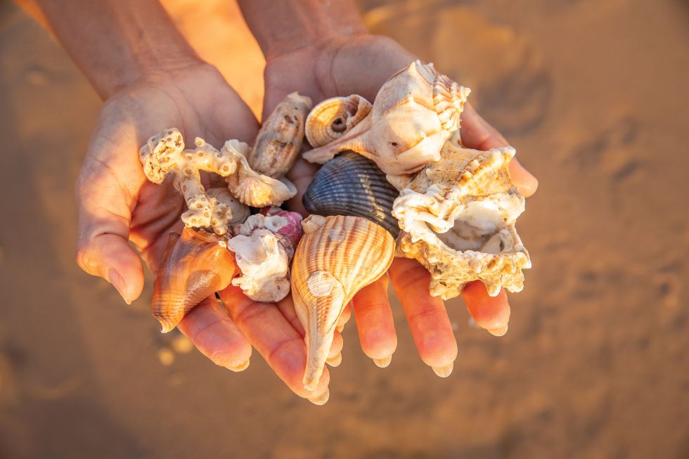 Texas Highways | The Official Travel Magazine of Texas Since 1974