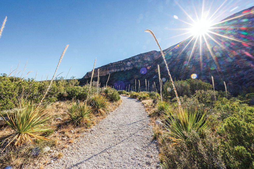 Exploring McKittrick Canyon, the Most Beautiful Spot in Texas