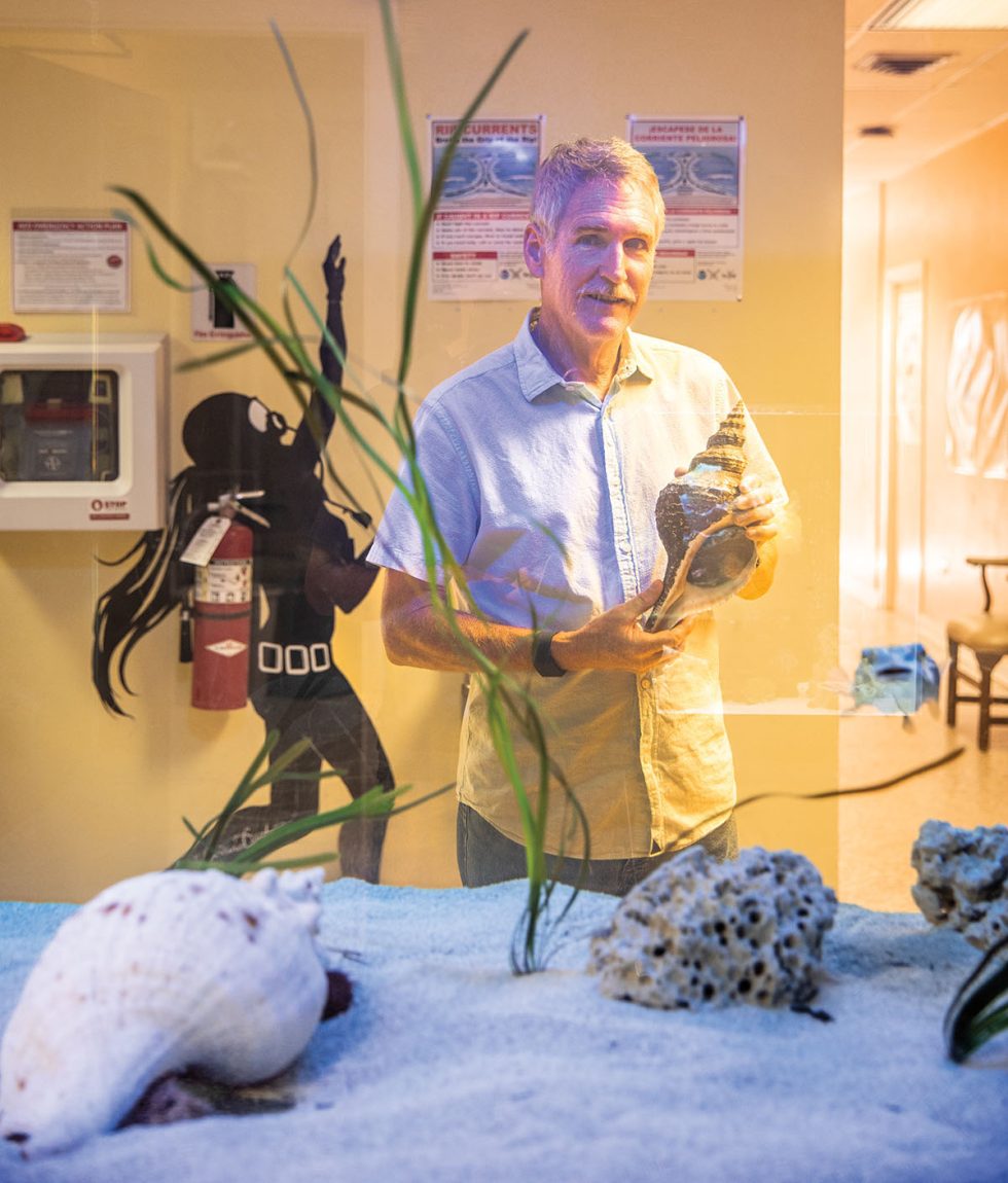 Dig for Seashell Treasures on Padre Island