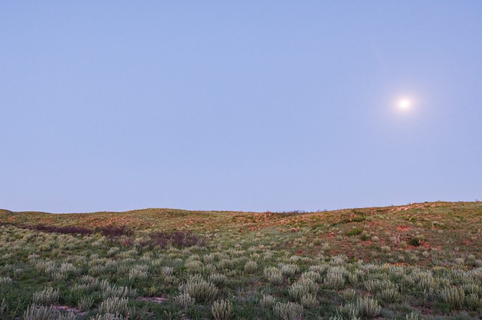 The Old Nighthawk No. 2 in Austin