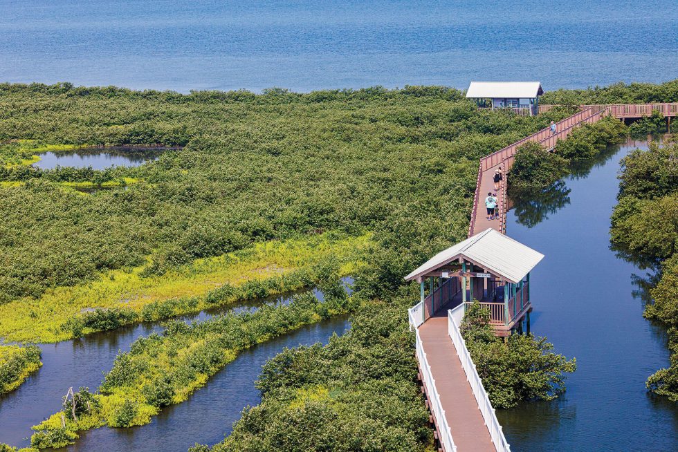 Resacas are the Natural Wonders of Texas’ Rio Grande Valley