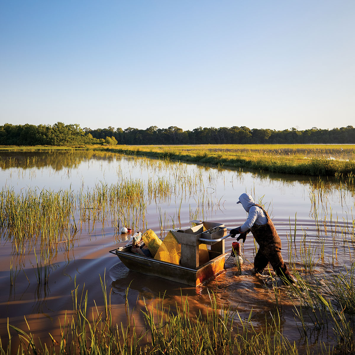 The Texas Rice Farmers Wading Into Crawfish Territory