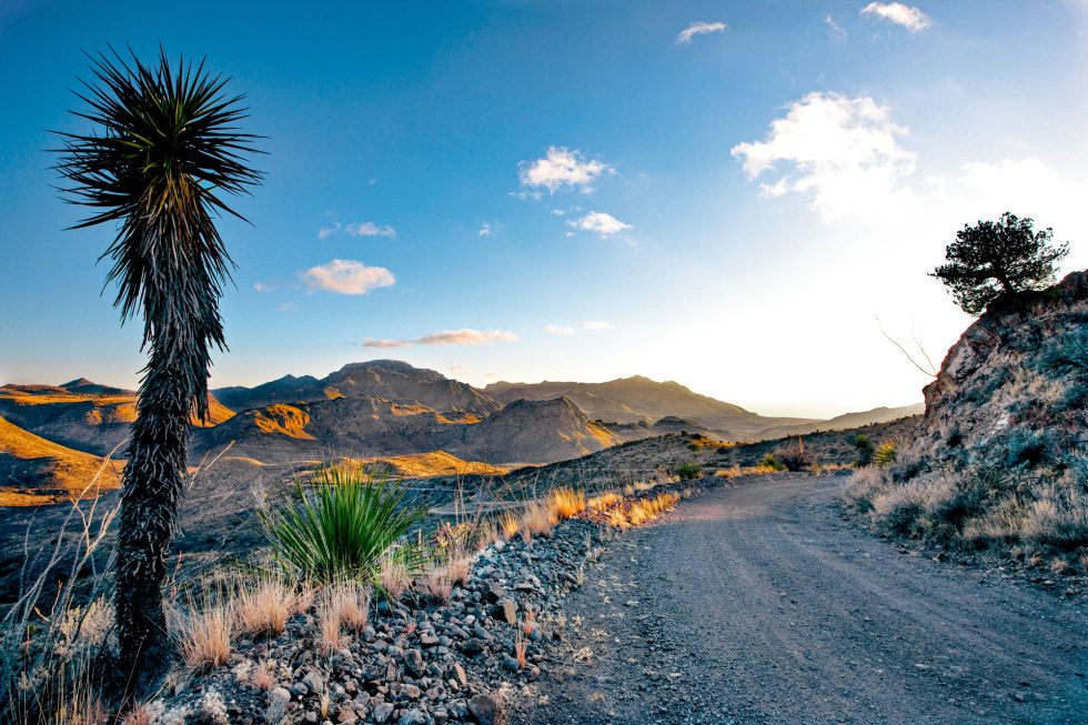 Things to See in the RGV