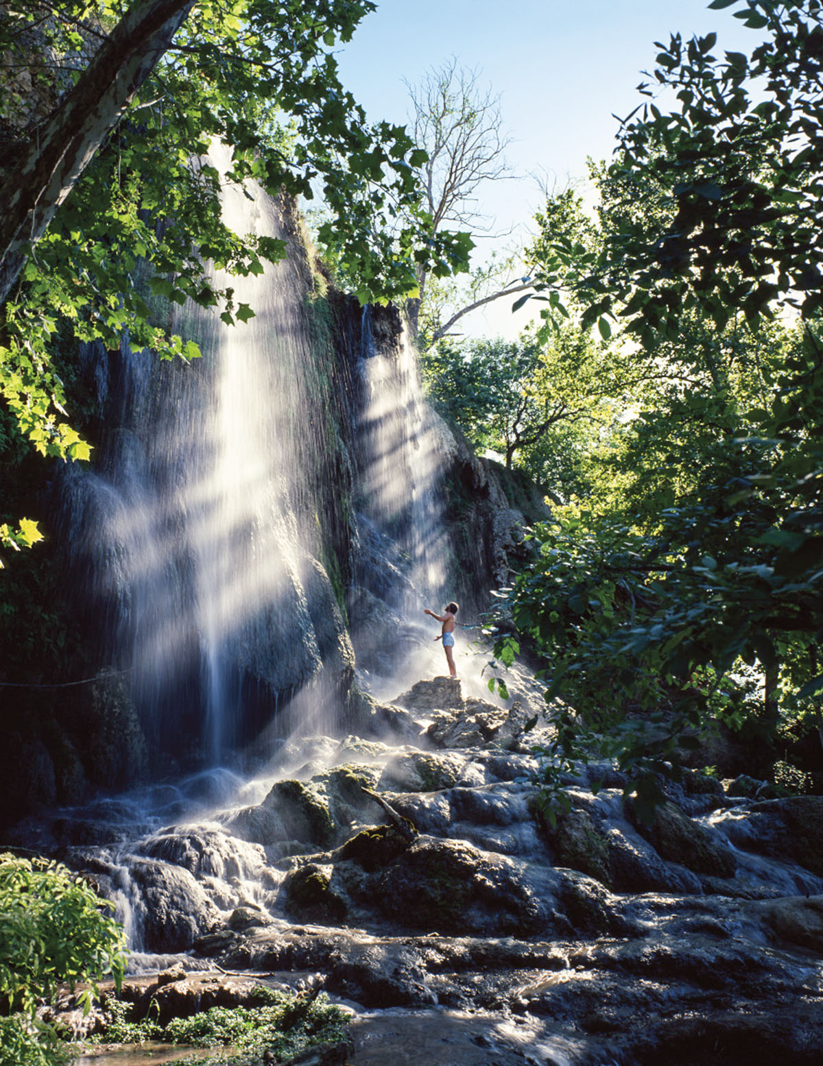 The Majesty of Gorman Falls