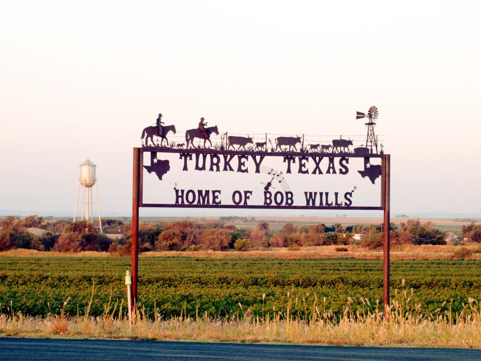 Loud and Invasive, the Monk Parakeet Charmed Its Way Into Texas Almost ...