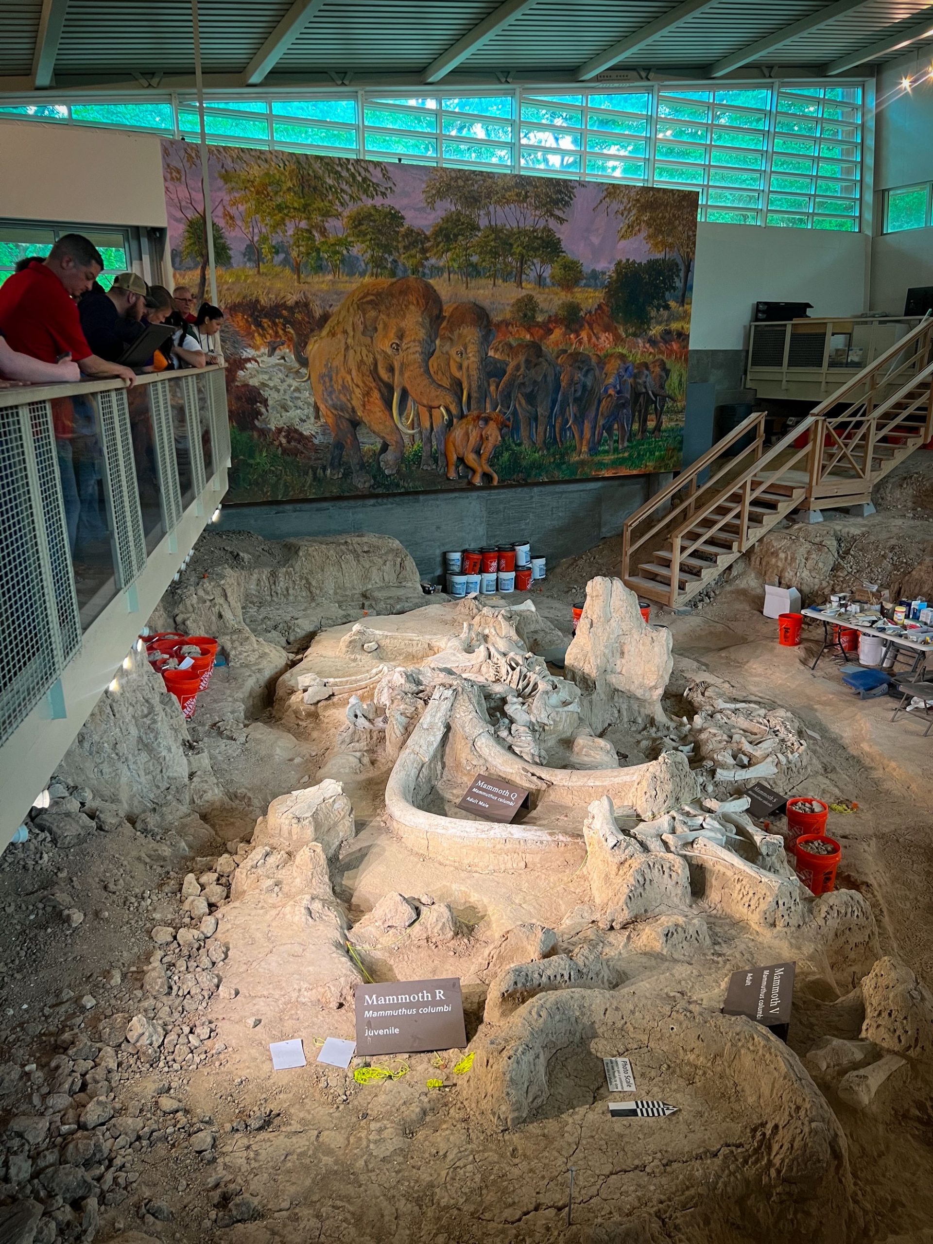 New Discoveries at the Waco Mammoth National Monument