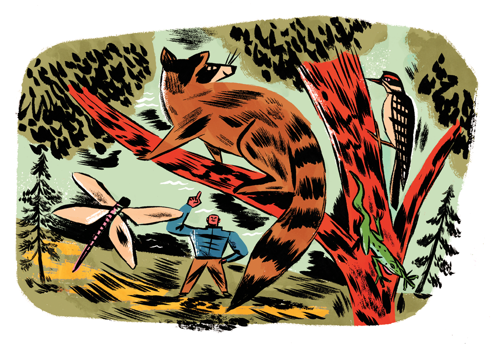 The Hidden Wonders of Texas' National Forests