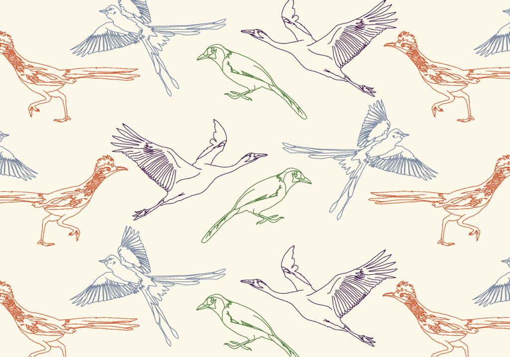 The Calm Before the Storm on South Padre Island